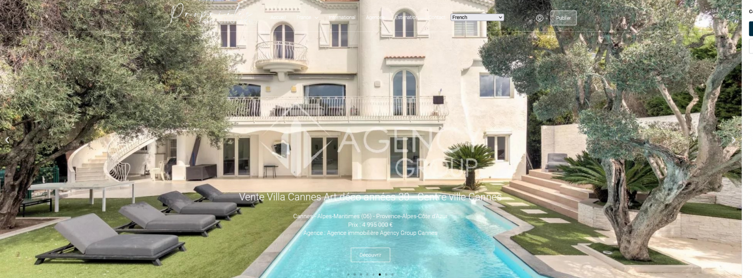 Luxury Real Estate Ads in France Charming Properties France